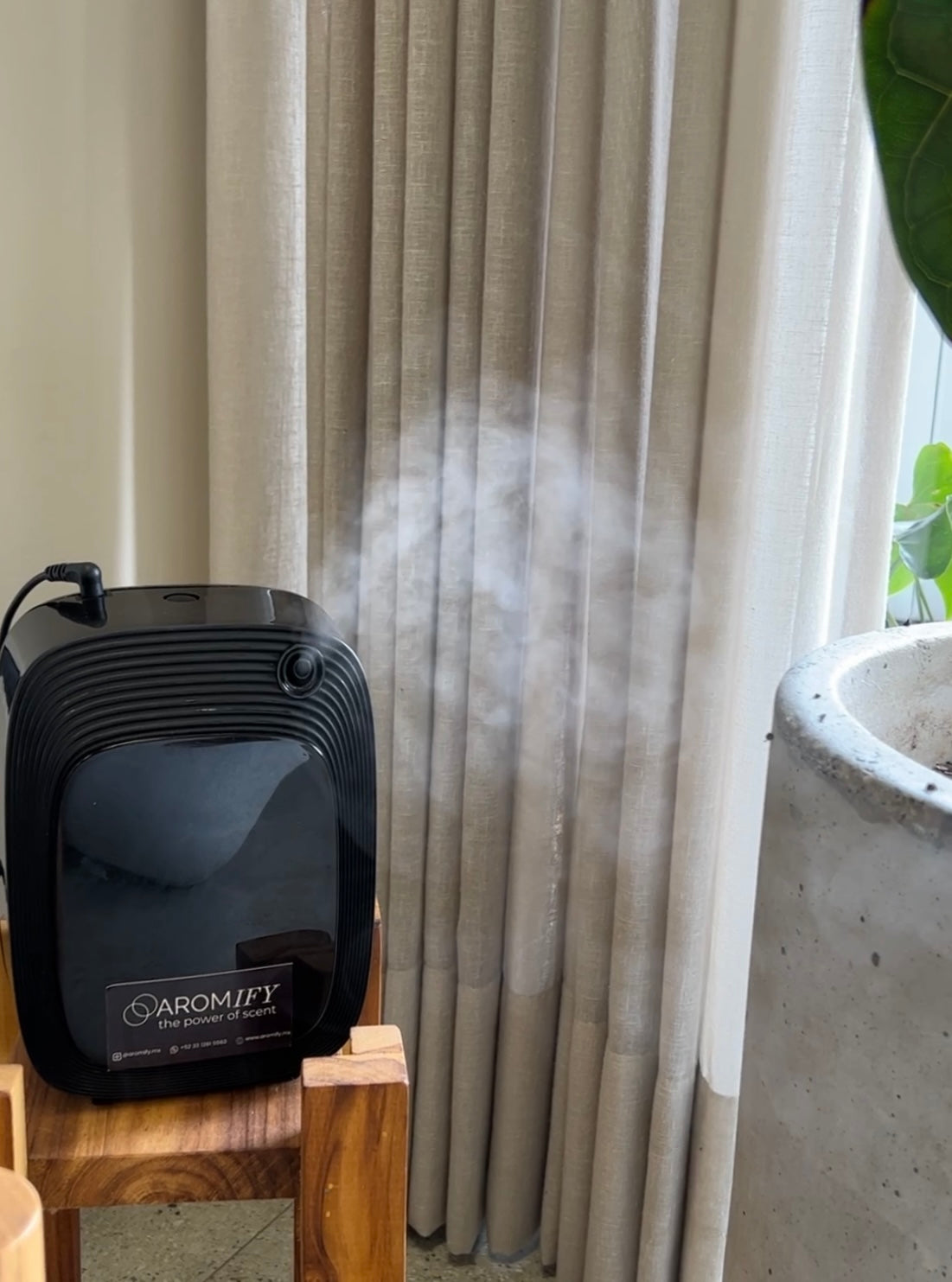 Aromify: The power of scent – Aromify: the power of scent